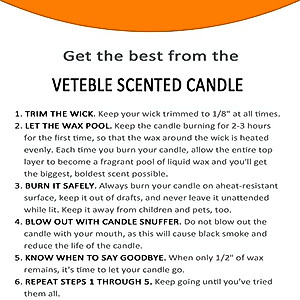 Veteble Lavender Scented Candles for Men, Women, Aromatherapy Candle for Stress Relief, Meditation, Relaxation, Bath, Yoga, Soy Wax Candles, 50 Hours Burn Time