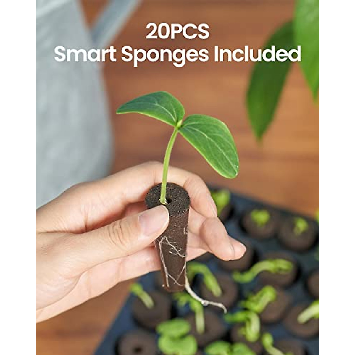 iDOO Seed Starter Tray with Grow Sponges, 20 Cells Reusable Seed Starter Kit with Humidity Dome, Base Mini Greenhouse Germination Kit for Seeds Growing Starting