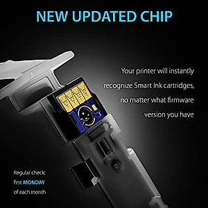 Smart Ink Compatible Ink Cartridge Replacement for HP 902XL 902 XL (2 Black, Combo Pack) to use with OfficeJet Pro 6978 6968 6970 6975 6960 Officejet 6962 6958 6950 6954 6951 6956 6961 6963 6964 6966