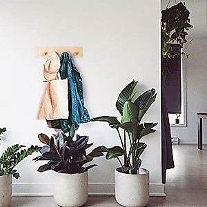 Ligneum Small Wall Shelf with Hooks for Hanging Coats - Wall Mounted Coat Rack and Floating Shelf with Hooks - Apartment Decor Entryway Wall Shelf with Key Organizer and Mail Organizer.