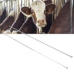 GLOGLOW Cattle Insemination Syringe, Stainless Steel Casu Type Cow Seeding Needle Fertilization Tool Farm Tools Accessory(S)