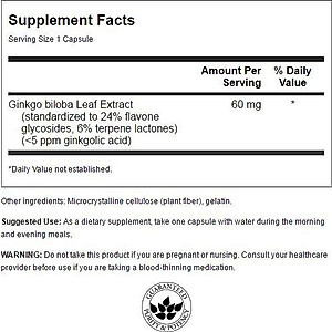 Swanson Ginkgo Biloba Extract 24% 60 Milligrams 240 Capsules