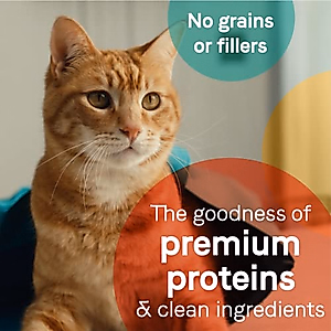 Canidae Adore Premium Wet Cat Food, Morsels with Salmon and Whitefish in Broth, 2.46 Ounce (Pack of 24), Grain Free