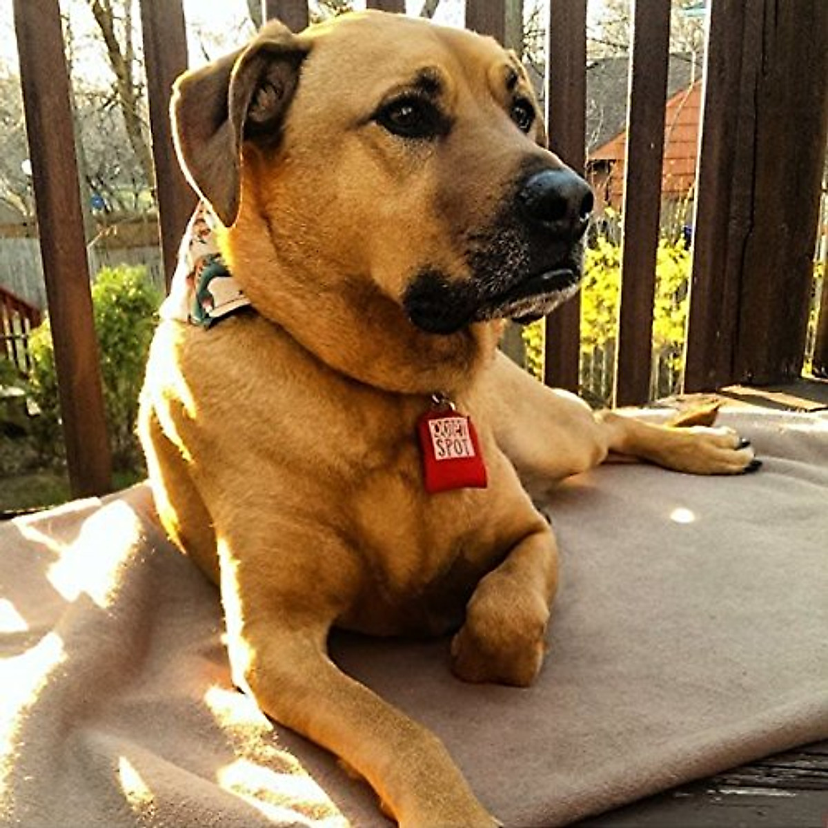 Quiet Spot Pet Tag Silencer (Pink)