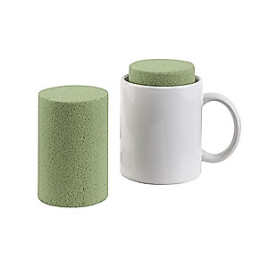 FloraCraft Floral Desert DryFōM 2 Piece Mug Plug 2.4 Inch x 3.75 Inch Green