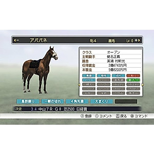 Champion Jockey: G1 Jockey & Gallop Racer [Japan Import]