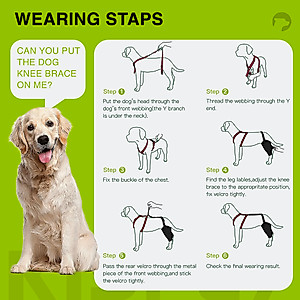 KISFLY Dog Knee Brace for Torn ACL Hind Leg Luxating Patella Dysplasia Arthritis Joint Pain Dog Leg Brace with Metal Hinged Support for Better Recovery Both Leg M