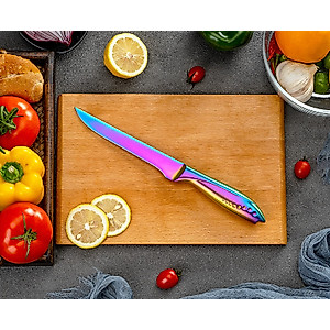 WELLSTAR Boning Knife 6 Inch, Razor Sharp German Steel Fillet Knife for Trimming Brisket/Rib/Steak/Meat, Deboning Chicken, Processing Fish/Game Meat, Rainbow Titanium Coating, Strong Durable Handle