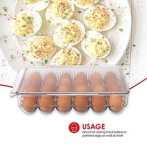 Home Basics Compartment BPA Free Plastic Extra Large Storage Stackable Refrigerator, Clear (24 Egg Holder)