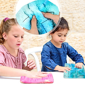 2 Pack Marble Maze Mat Fidget Sensory Tactile Sensory Toys Stress Relief Toys Anxiety Relief Toys Calming Toys for School Classroom Reduce Stress Anxiety Improve Focus (Vivid Style, 8.7 x 6.3 Inch)