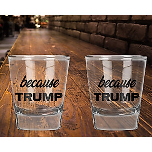 CBTwear - Because Trump - Anti Trump Funny Gag Idea - Birthday for men or women - 1.75 OZ Shot Glass Set (2)
