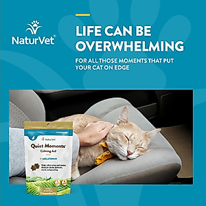 NaturVet Quiet Moments Calming Aid Cat Supplement Plus Melatonin – Helps Reduce Stress in Cats – for Pet Storm Anxiety, Motion Sickness, Grooming, Separation, Travel – 50 Ct. Soft Chews