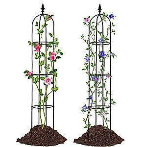 Lalahoni Garden Trellis for Climbing Plants Outdoor, 2 Pack 6ft Tall Plant Support Trellis for Potted Plants Climbing Vine Rose Clematis Outdoor Indoor Garden Obelisk Trellis, Lightweight, Black