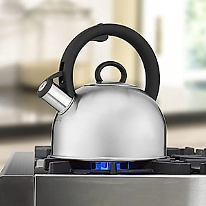 Cuisinart Tea Kettle, Aura 2-Quart, Stainless Steel, CTK-SS17N