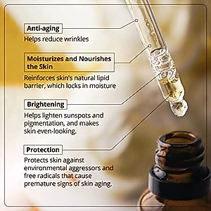 Avalon Organics Vitamin C Oil , Anti-Aging Serum with Essential Fatty Acids, Vitamin E, Hydrating & Brightening Serum, Helps Reduce Lines & Wrinkles