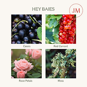 LA JOLIE MUSE Hey Baies Scented Candle, Natural Soy Candles for Home Scented, Candle Gifts for Women&Men, Long Burning Luxury Jar Candle, 11oz