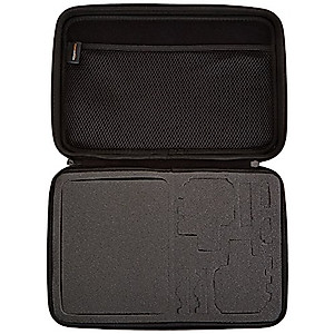 Amazon Basics Large Carrying Case for GoPro And Accessories - 13 x 9 x 2.5 Inches, Black