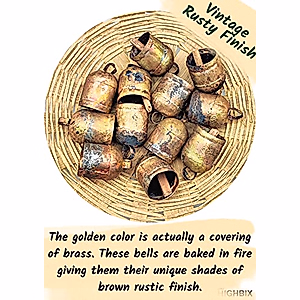 HIGHBIX Rusty Harmony Cow Bells 10 Pieces Vintage Handmade Rustic Lucky Christmas Hanging 2inch Bells with Wooden Striker