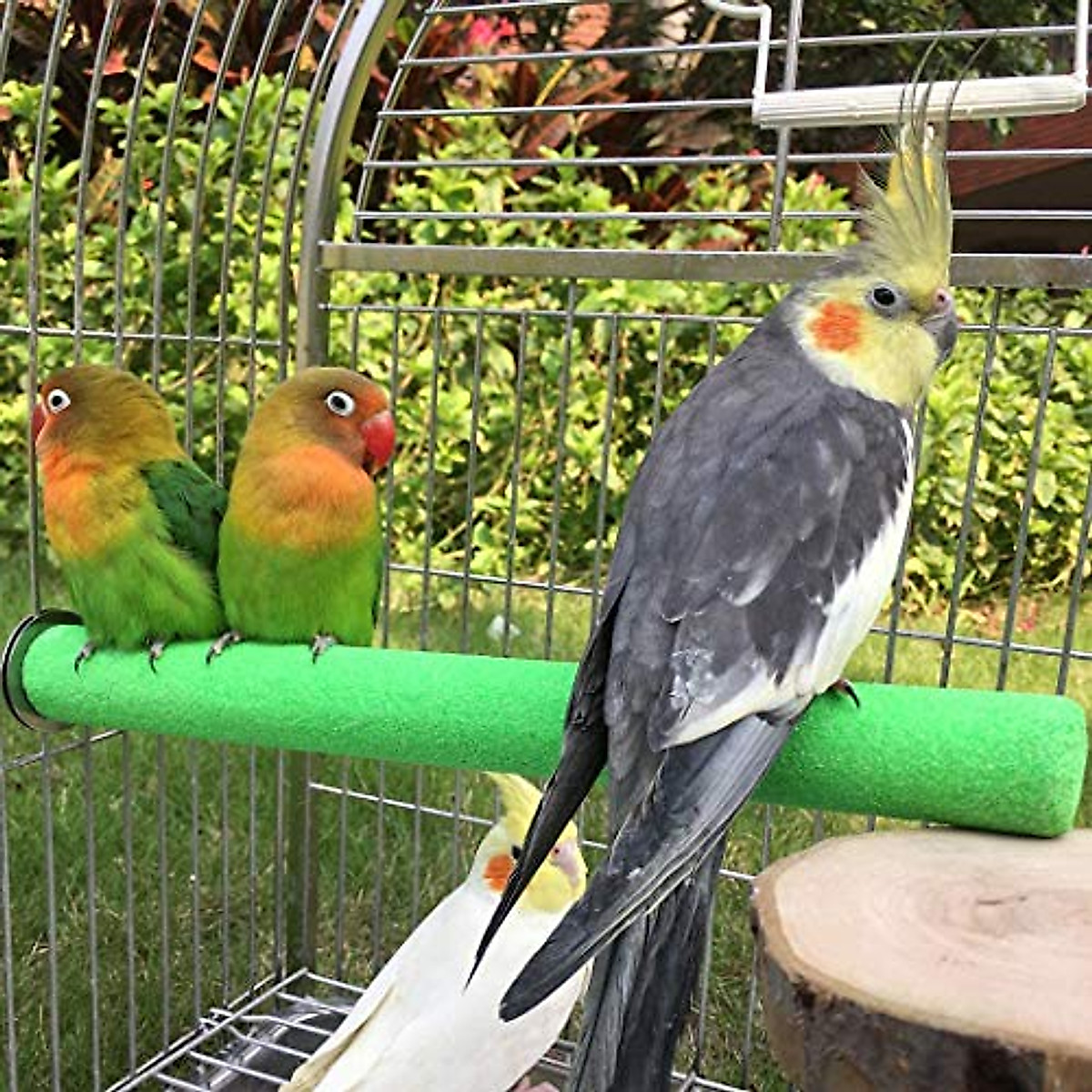 Yuecoofei Bird Platform,pet Toys,3pcs Parrot Perch Stand Toy, Bird Cage Perch Toy Random Vibrant Colors of Quartz Sand Covered Wood Platform Paw Grinding Stick for Parrot Bird