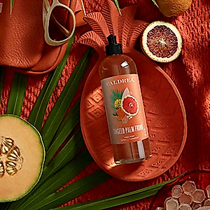 Caldrea Dish Soap, Biodegradable Dishwashing Liquid made With Soap Bark And Aloe Vera, Tangelo Palm Frond Scent, 16 Oz