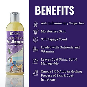 Kenic Kalaya Ultra Moisturizing & Restorative Emu Oil Pet Shampoo- Soap & Paraben Free- Made in USA- for Dogs and Cats