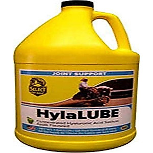 RICHDEL 81284 Hylalube Concentrate Apple