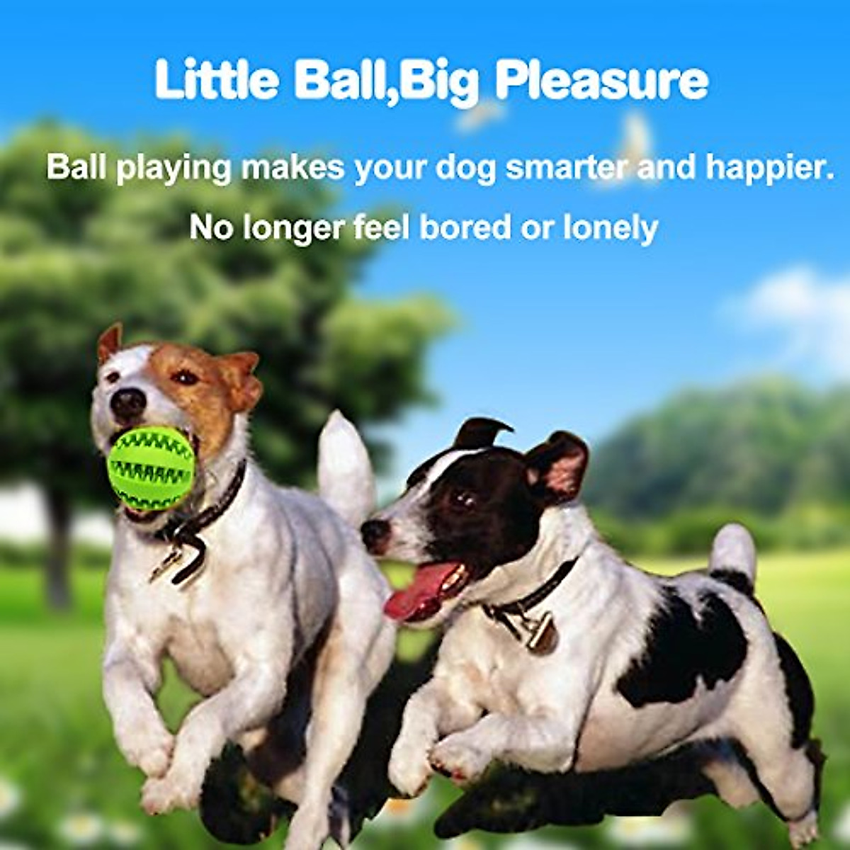 Idepet Dog Toy Ball, Nontoxic Bite Resistant Toy Ball for Pet Dogs Puppy Cat, Dog Pet Food Treat Feeder Chew Tooth Cleaning Ball Exercise Game IQ Training Ball(2 Pack-Blue&Green)