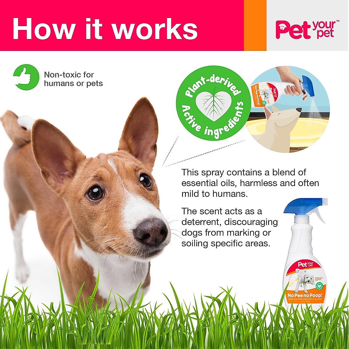 PET YOUR PET No Pee No Poop Dog Potty Training Spray, 16 Fl Oz – Non-Toxic Dog Spray to Prevent Peeing and Pooping – Natural No Marking Scent Spray - Stops Dogs Peeing Indoors/Outdoors