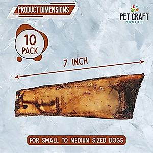 Pet Craft Supply All Natural Healthy Beef Rib Bones Dog Chews Treats for Aggressive Chewers Long Lasting Rawhide Free, Premium Grade Slow Roasted for Puppies or Small Medium Dogs 10 Count (Pack of 1)