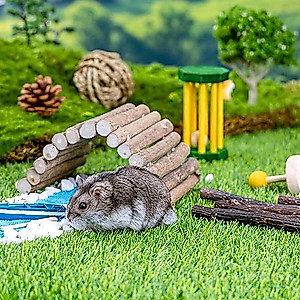 Nobleza Hamster Toys, 8 Pack Natural Wooden Guinea Pig Chew Toys and Accessories for Cage Set, Teeth Care Molar Rat Toys for Pet Rats, Dwarf Syrian Hamsters, Chinchillas, Gerbils, Small Animals