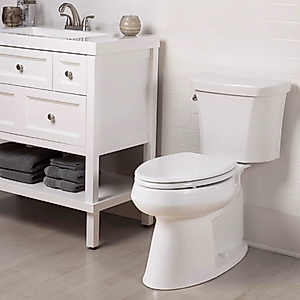 BEMIS 1600E4 390 Ashland Toilet Seat with Slow Close, Never Loosens and Provide the Perfect Fit, ELONGATED, Enameled Wood, Cotton White