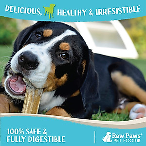 Raw Paws Compressed Rawhide Dog Chew Variety Pack, 10 Pack - 5" Compressed Rawhide Sticks & 4" Bones, Aggressive Chewers Pressed Rawhide Chews Dog Treat Value Pack, Small Dog Deluxe Variety Dog Chews