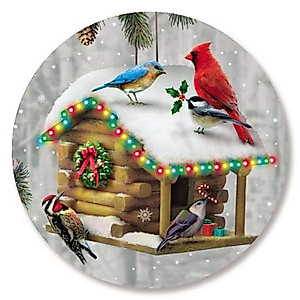 Festive Feathered Friends Christmas Envelope Seals - Set of 72 Holiday Envelope Stickers