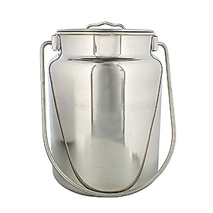 Rural365 Metal Milk Jug, 4 Liter (1 Gal) - Stainless Steel Jug, Rustic Milk Cans with Lid, Old Fashion Milk Jug Vases