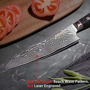 EANINNO Damascus Chef Knife 8 Inch Japanese Kitchen Knife, Sharp Professional Chefs Knife 67 Layers High Carbon Damascus Stainless Steel Vg10 Cutting Knife