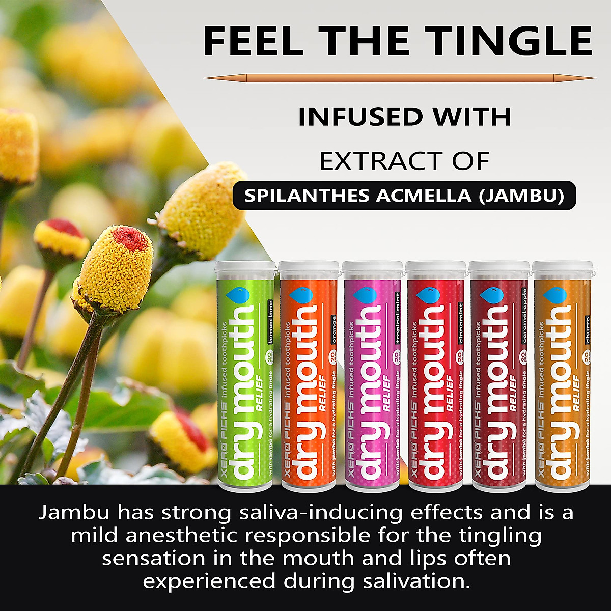 Xero Picks Dry Mouth - Infused Flavored Toothpicks for Long Lasting Fresh Breath & Dry Mouth Prevention (Variety 6 Pack)