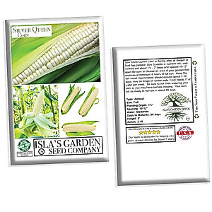 "Silver Queen" Corn Seeds for Planting, 50+ Heirloom Seeds Per Packet, (Isla's Garden Seeds), Non GMO Seeds, Botanical Name: Zea mays