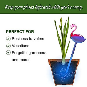 Self-Watering Glass Globes 2PCS Flamingo Gradient Hot Pink 10" Long Hand Blown Bulbs Pot Plant Waterer Home Indoor Outdoor Garden Patio Hanging Flower Aqua Spike Decorative Automatic Irrigation System