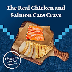 Blue Buffalo Wilderness Wild Delights Meaty Morsels Natural Wet Cat Food, Chicken & Salmon in Tasty Gravy, 3-oz. Cans, 24-Pack