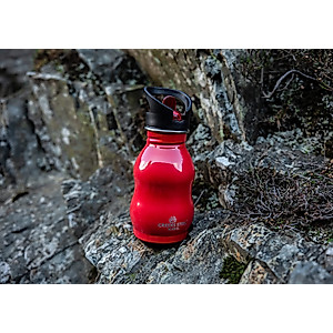 Kids Water Bottle with Straw & Handle, 12 oz Silver- Eco Friendly Toddler Cups with Straws - Easy Sip Metal Water Bottle for Kids - Cute Stainless Steel Water Bottles for Children - Leak Proof Lid