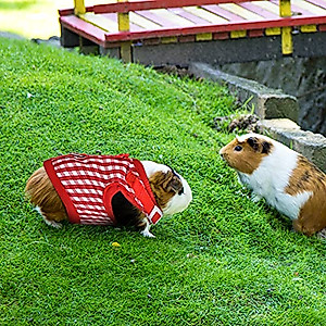 3 Pieces Guinea Pig Harness with Leash Small Pet Harness Fruit Plaid Pattern Adjustable Padded Walking Vest for Pet Hamster Ferret and Squirrel Small Animals (Pineapple, Red Plaid, Strawberry, Small)