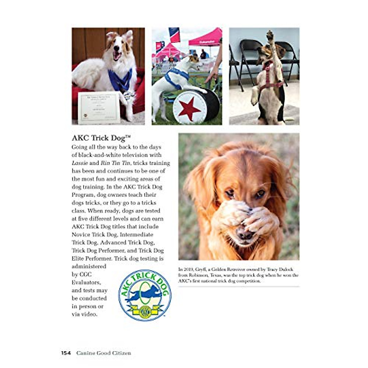 Canine Good Citizen: The Official AKC Guide, 2nd Edition: Ten Essential Skills Every Well-Mannered Dog Should Know (CompanionHouse) How to Train, Practice, and Pass the American Kennel Club's CGC Test