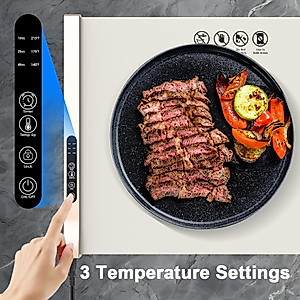 Nsyee Food Warming Mat, Electric Warming Tray with 3 Temperature Settings and Timer, Rollable Food Heating Mat, Premium Silicone Material, Multifunctional Food Warmer for Buffet, Party, Everyday Use