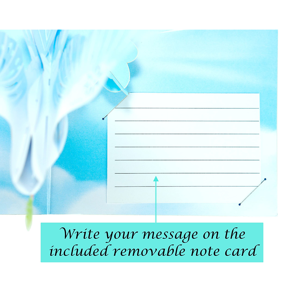 Dove Bird,WOW Greeting Pop Up 3D Card For All Occasions,Peace, Birthday, Love, Christmas, Grace, Holy Spirit, Hope,Personalized With Insert Message Note,Handcrafted With Love,Proud USA Brand