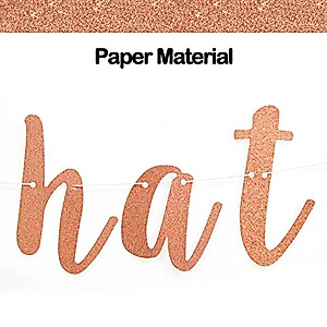 She Mastered That Banner, She Came She Saw She Did it/So Proud Of You Sign, Graduation Party Decoration Supplies for Gilrs - Rose Gold and Black Glitter