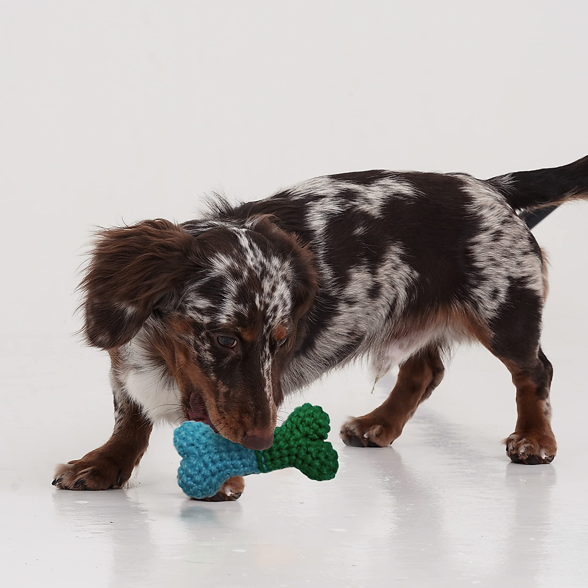 Tails In Slumberland - Dog Chew Toy - Handmade Crochet Chew Resistant - Durable and Cute Plush Toy with Squeaker - Small Medium Size Dogs - Dental Safe Chews for Aggressive Chewer (Bone)