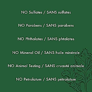 SheaMoisture Power Greens Curly Hair Moringa And Avocado Shampoo, Conditioner And Reconstructor Dry Hair Moringa Avocado to moisturize