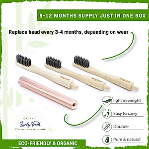 Replaceable Bamboo Toothbrush Aluminum Handle - BPA Free, Soft Bristles | Eco-Friendly, Biodegradable, Compostable, Vegan & Zero Waste | 3 Heads Total | 9-12 Months supply. (COPPER CHARCOAL BRISTLES)