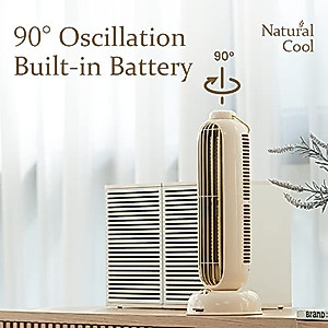 PAIKEP Oscillating Desk Fan, 12in Small Quiet Portable rechargeable USB table Fan with 4 Speeds for Home Office Bedroom Desktop (Pink)