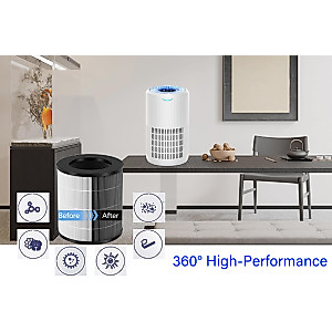 D09 Replacement Filter Compatible with Tailulu D09 Air Purifier, 3 IN 1, H13 True HEPA filter & High efficiency activated carbon & Pre-Filter, 2 Pack